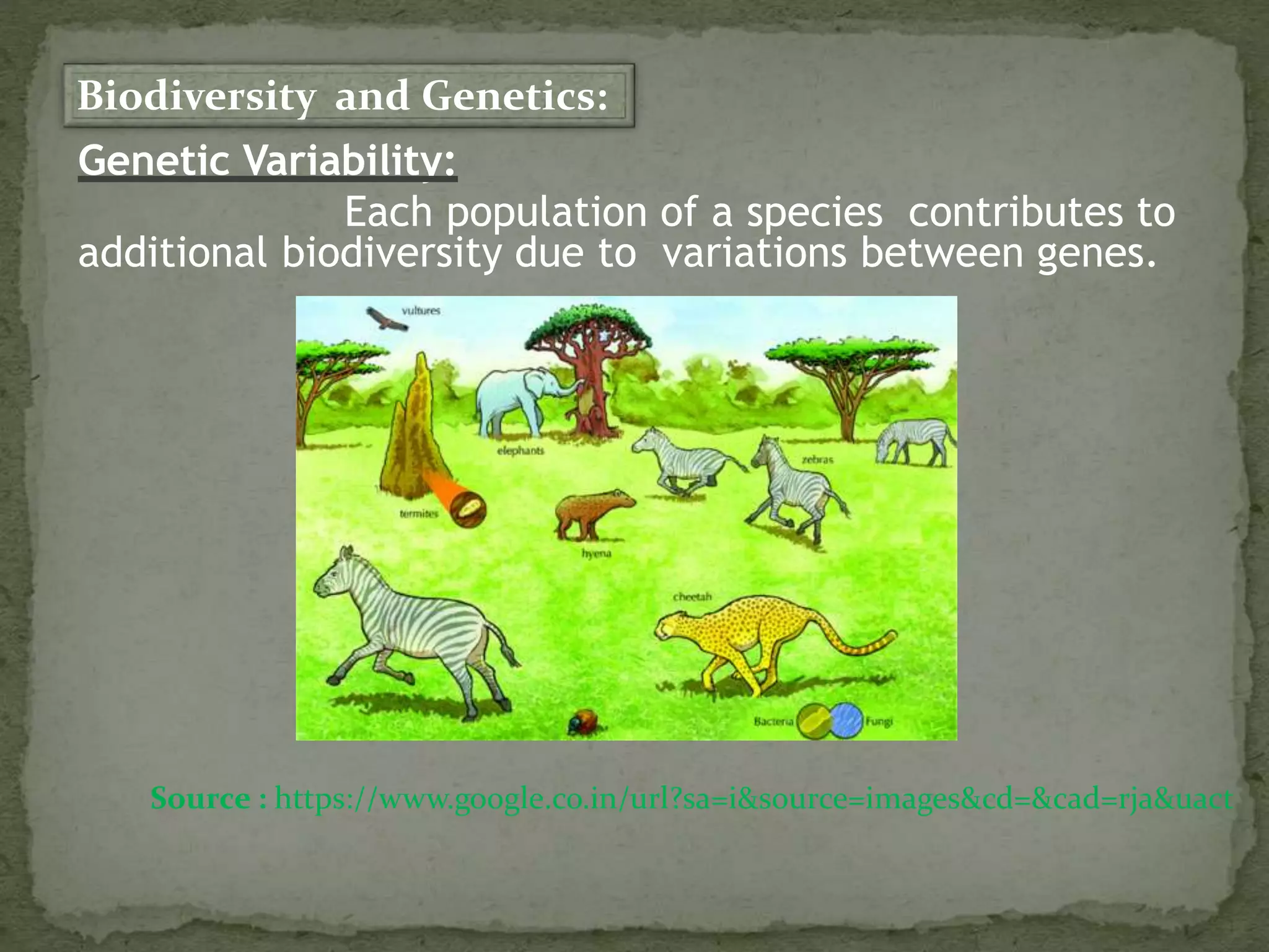 Biodiversity quantification ppt @ rp sir. | PPTX