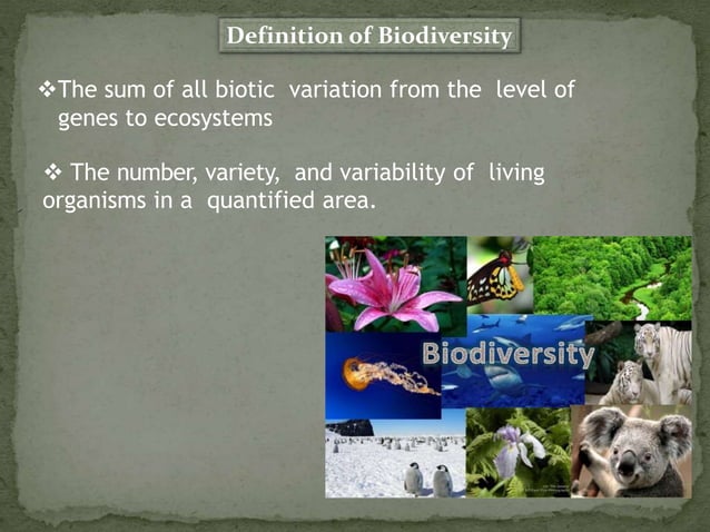 Biodiversity quantification ppt @ rp sir. | PPTX