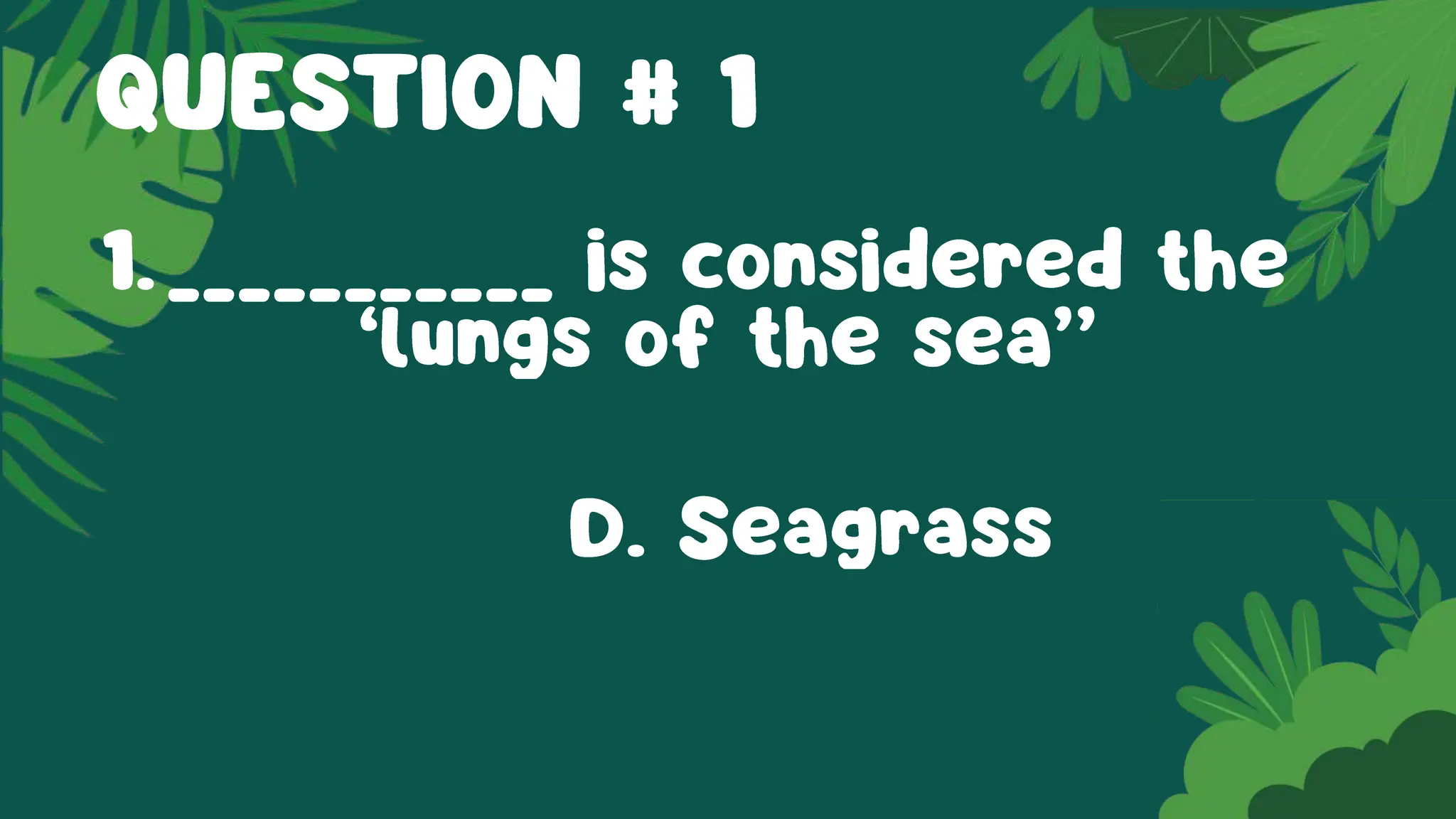 BIODIVERSITY QUIZ ELIMINATION ROUND.pptx