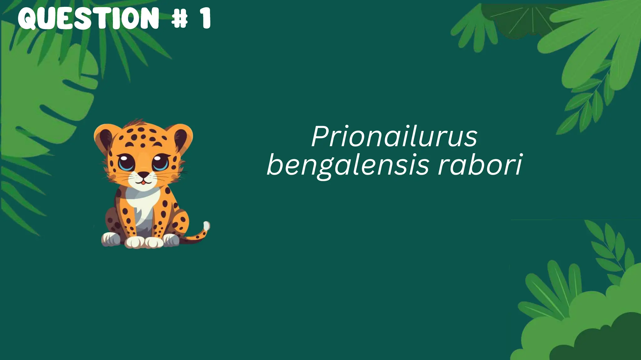 BIODIVERSITY QUIZ ELIMINATION ROUND.pptx