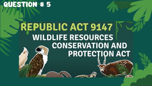 BIODIVERSITY QUIZ ELIMINATION ROUND.pptx | Birdwatching | Hobbies ...