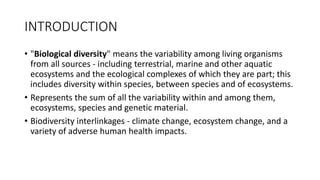 Biodiversity rainforest (plant) | PPT
