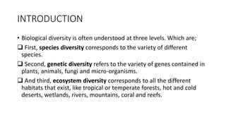 Biodiversity rainforest (plant) | PPT