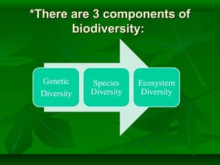 Biodiversity | PPT
