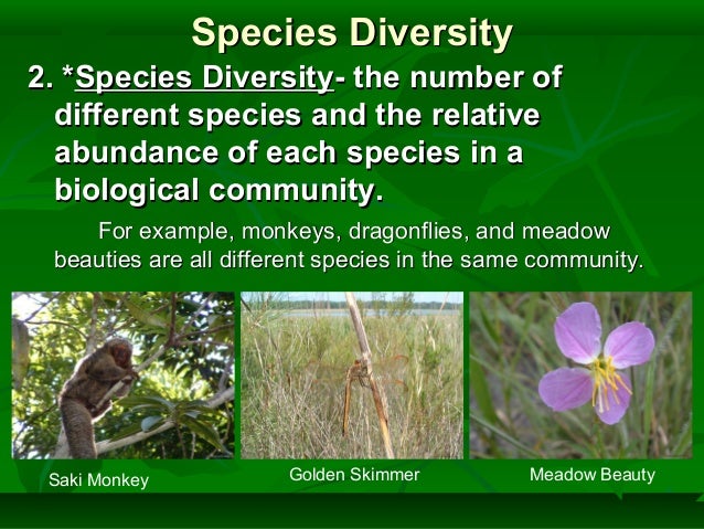 Biodiversity