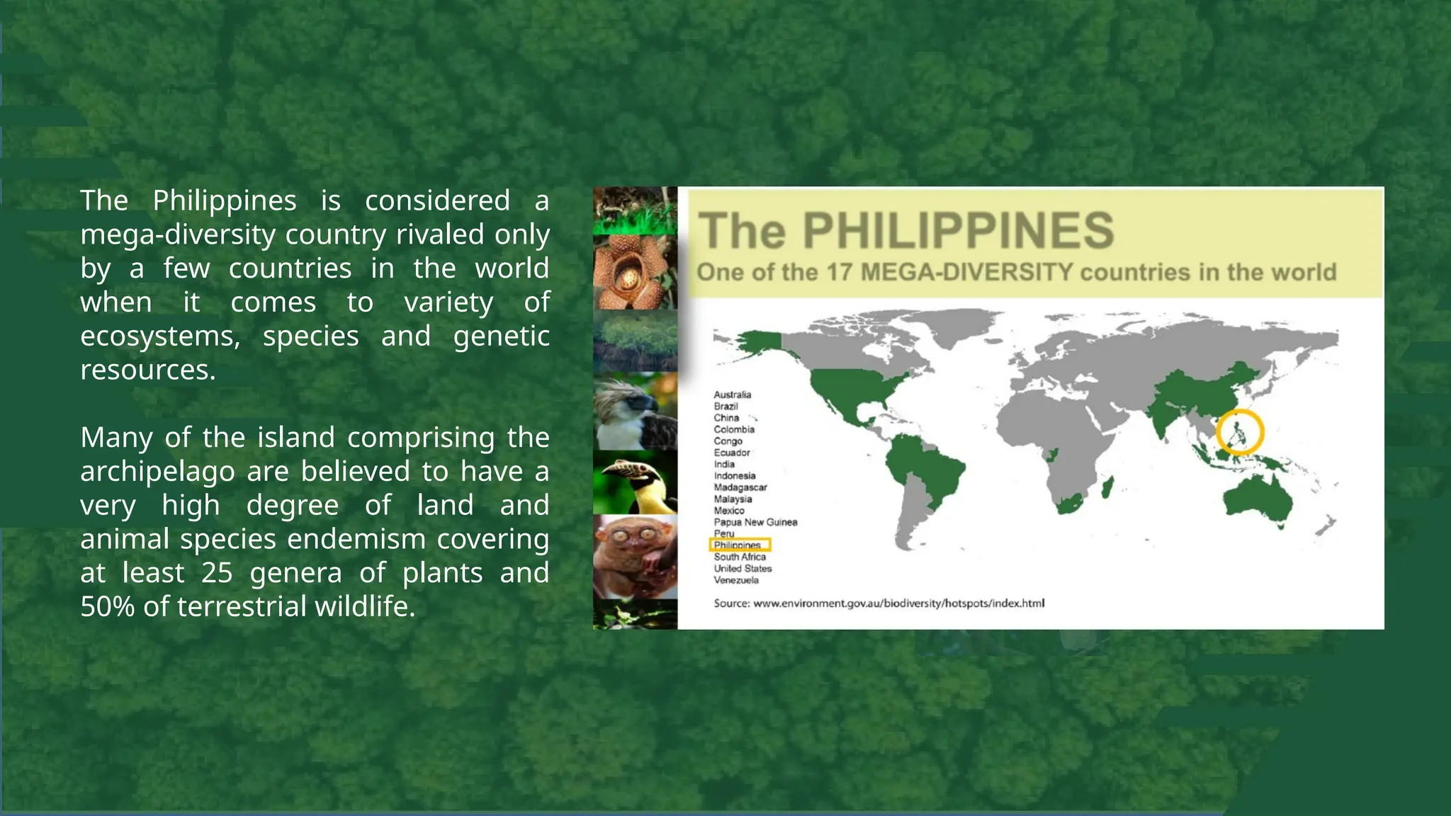 BIODIVERSITY REPORT OF THE PHILIPPINES.pptx