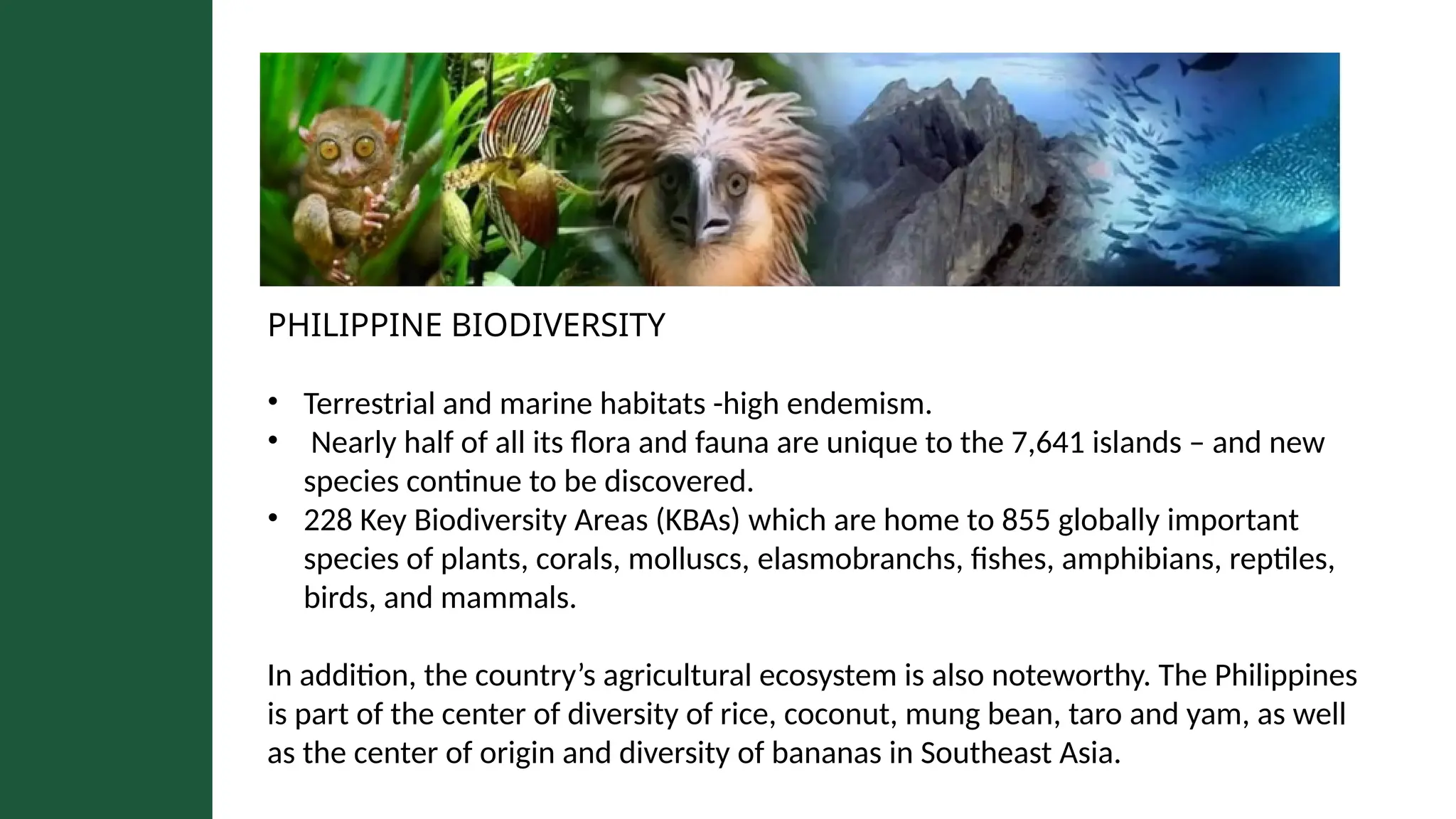 BIODIVERSITY REPORT OF THE PHILIPPINES.pptx | Zoos & Aquariums ...