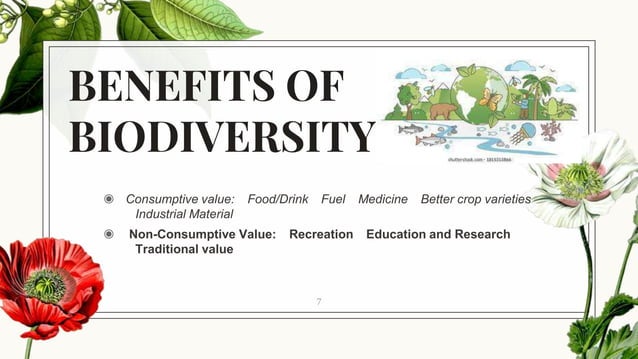 Biodiversity scenario in himachal pradesh | PPTX