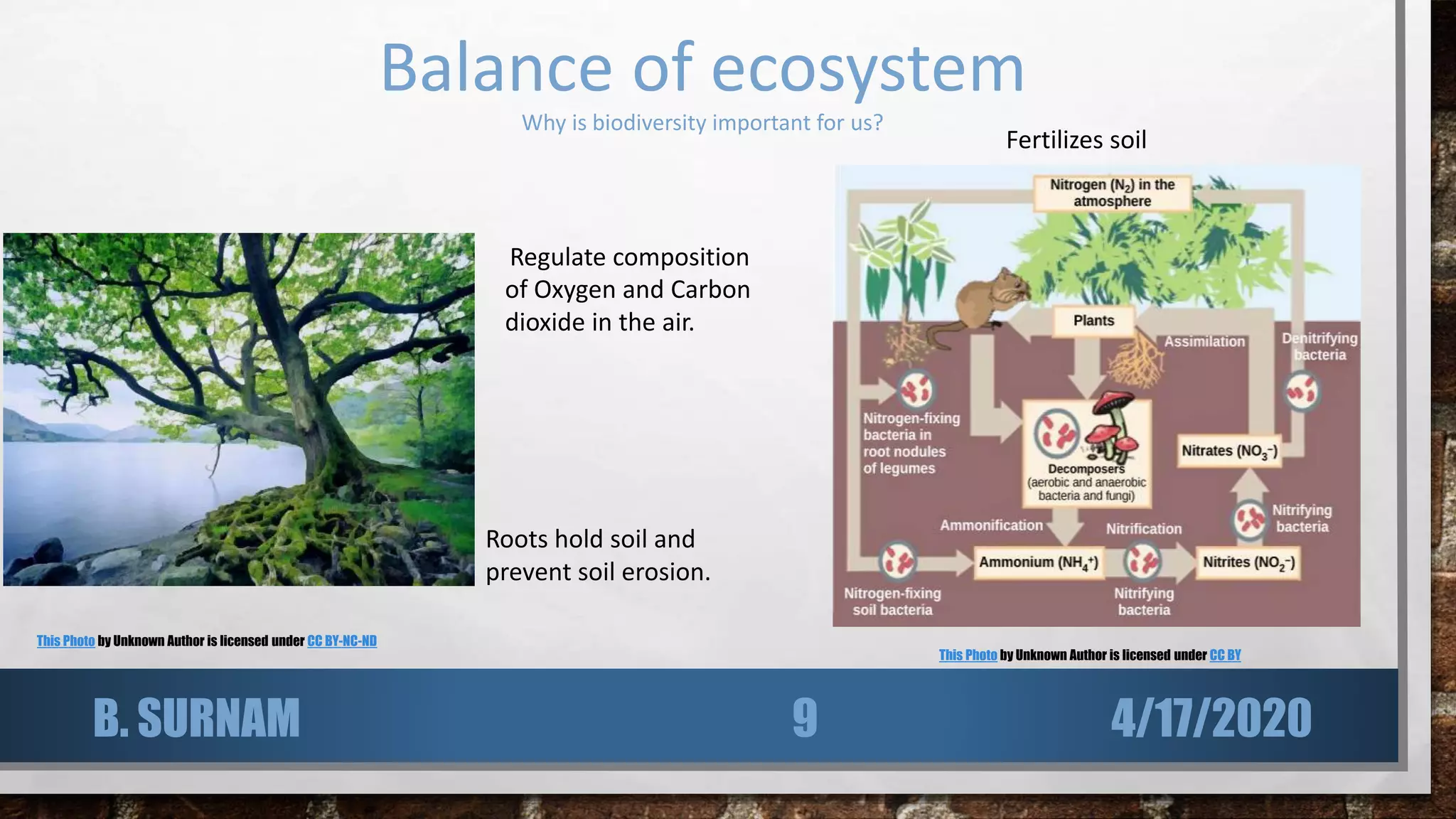 Biodiversity for Lower Secondary-An introduction | PPSX