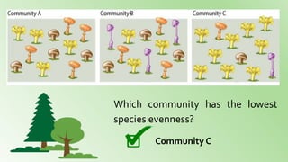Biodiversity_Species_Diversity - Copy.pptx