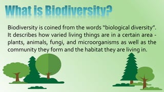Biodiversity_Species_Diversity - Copy.pptx