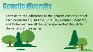 Biodiversity_Species_Diversity - Copy.pptx