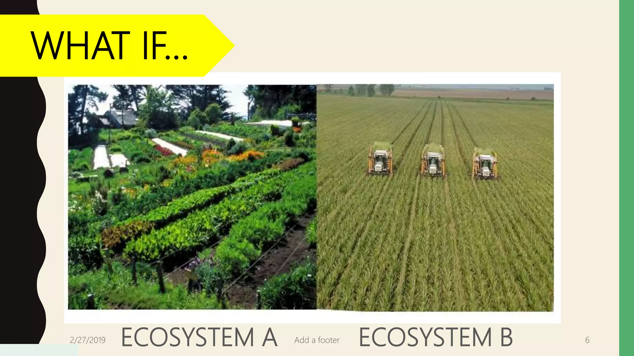 Chapter 11: Biodiversity, Stability & Carrying Capacity | PPT