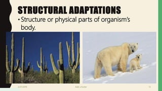 Chapter 11: Biodiversity, Stability & Carrying Capacity | PPT