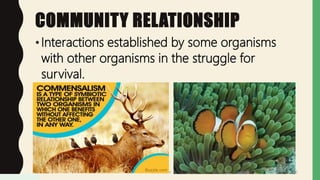 Chapter 11: Biodiversity, Stability & Carrying Capacity | PPTX