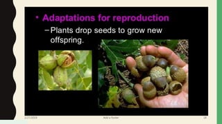 Chapter 11: Biodiversity, Stability & Carrying Capacity | PPTX