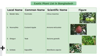 Biodiversity Status in Bangladesh and Conservation.pdf