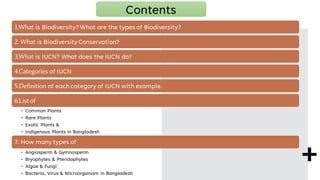 Biodiversity Status in Bangladesh and Conservation.pdf
