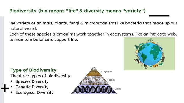 Biodiversity Status in Bangladesh and Conservation.pdf