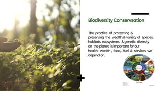 Biodiversity Status in Bangladesh and Conservation.pdf
