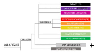 Biodiversity Status in Bangladesh and Conservation.pdf