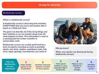 BiodiversitysurveyactivityFreeDistancelearning-1.pptx