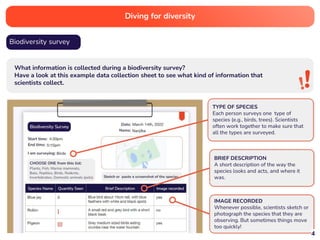 BiodiversitysurveyactivityFreeDistancelearning-1.pptx