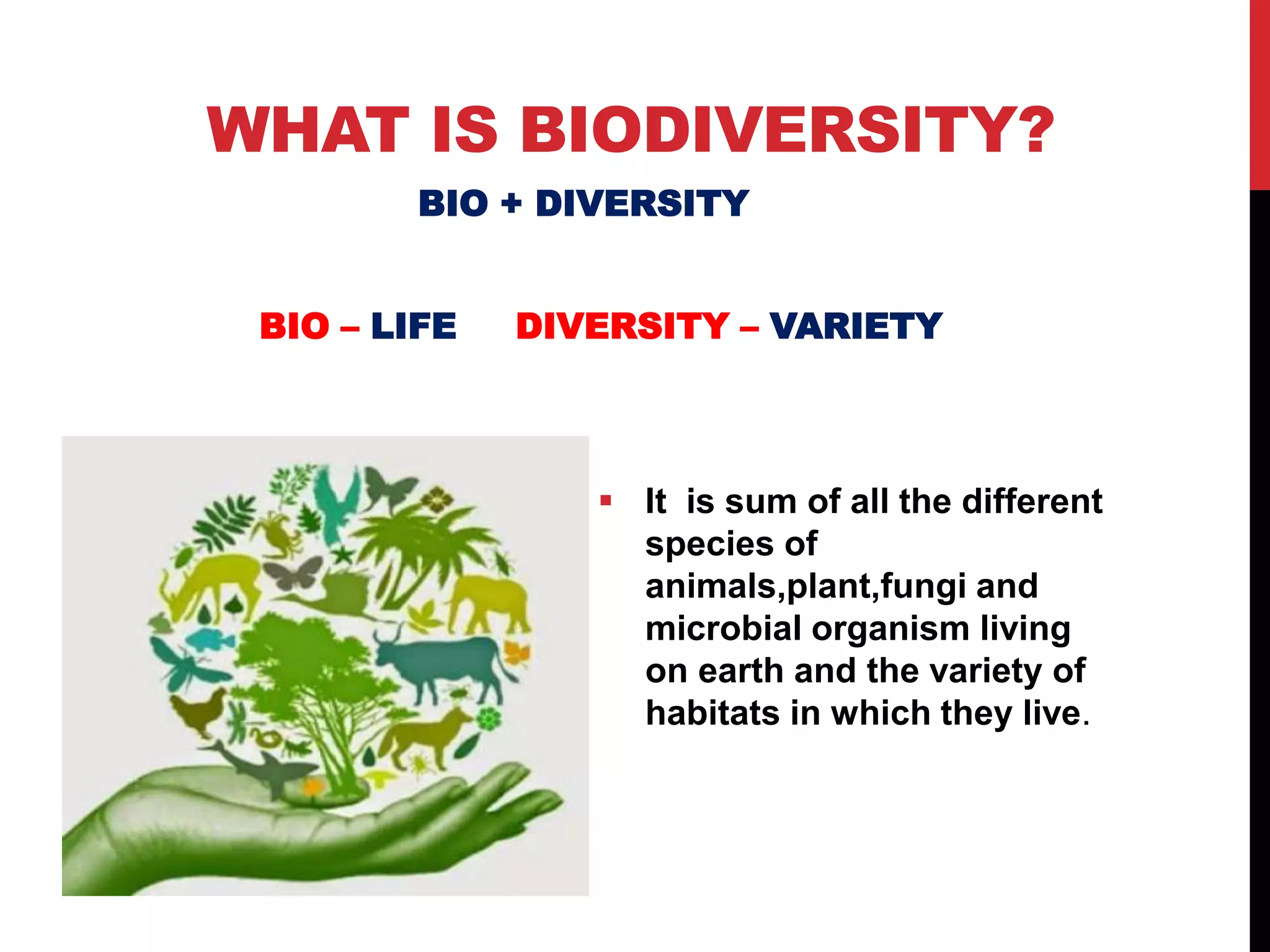 Biodiversity threats and conservation | PPTX