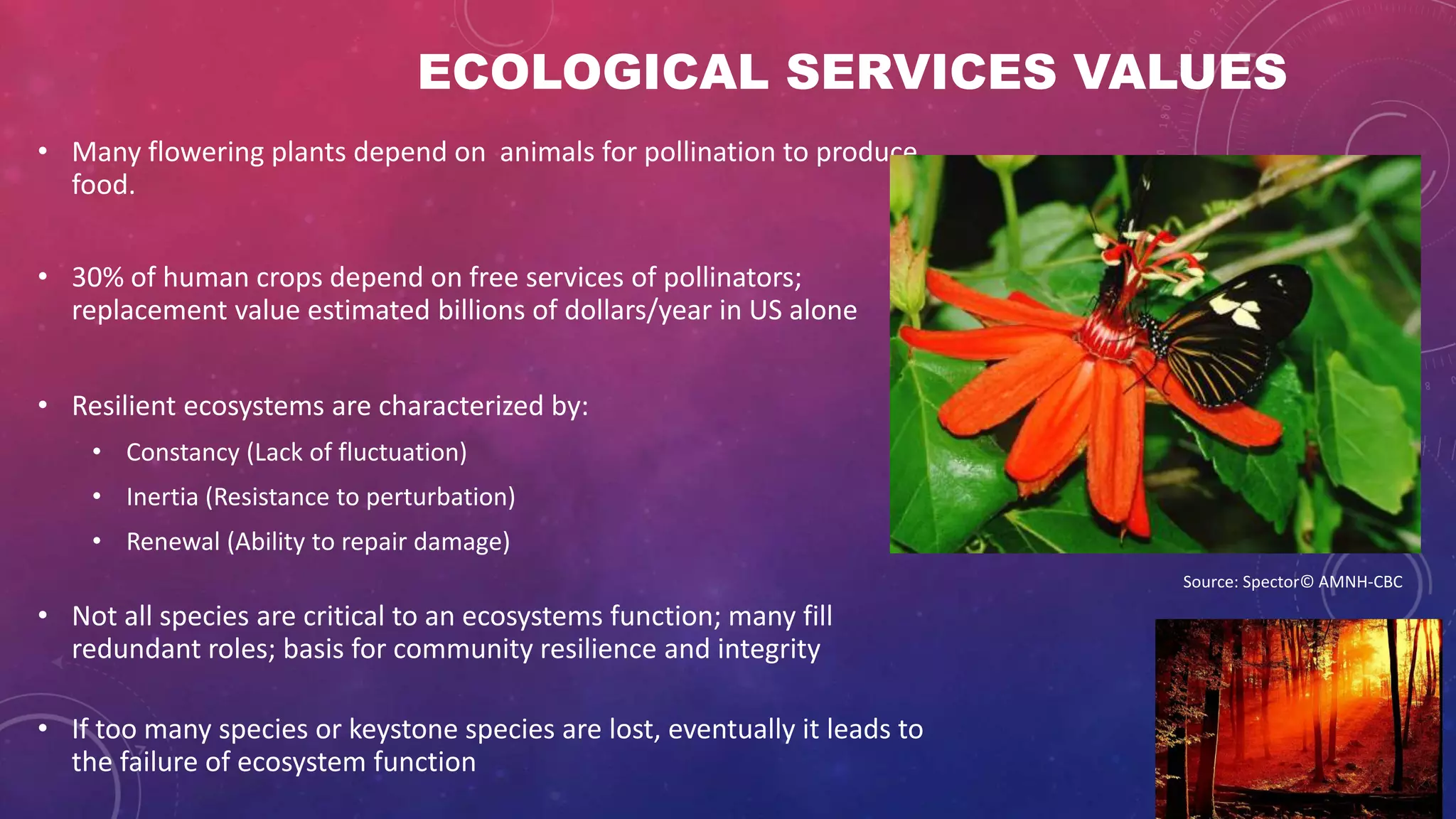 Biodiversity values | PPTX
