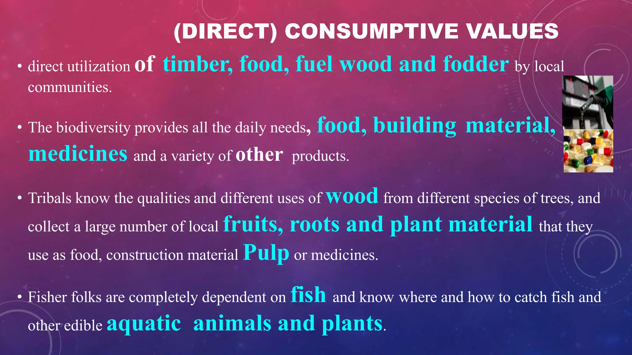 Biodiversity values | PPTX