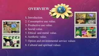 Biodiversity values | PPTX