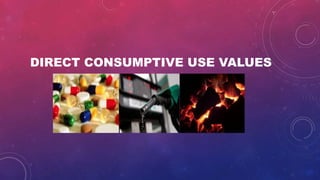 Biodiversity values | PPTX