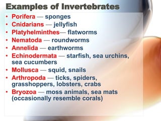 Biodiversity Vertebratesvs Invertebrates | PPT