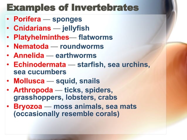Biodiversity Vertebratesvs Invertebrates | PPT