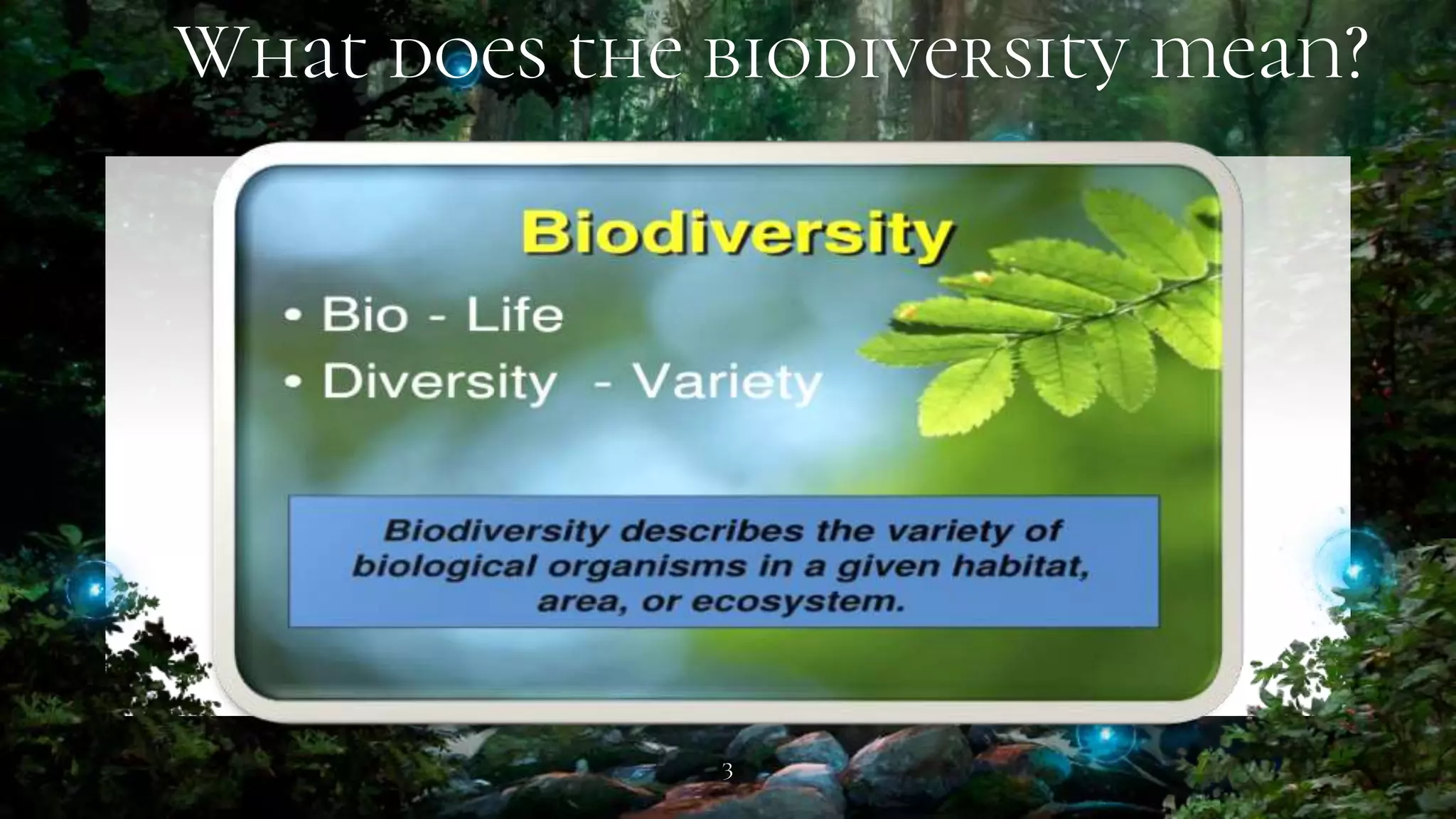 Biodiversity & wildlife pptx. | PPTX