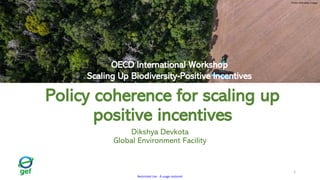 Workshop on Scaling Up Biodiversity-Positive Incentives - Dikshya Devkota | PDF | Business ...