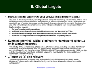 Workshop on Scaling Up Biodiversity-Positive Incentives - Markus ...