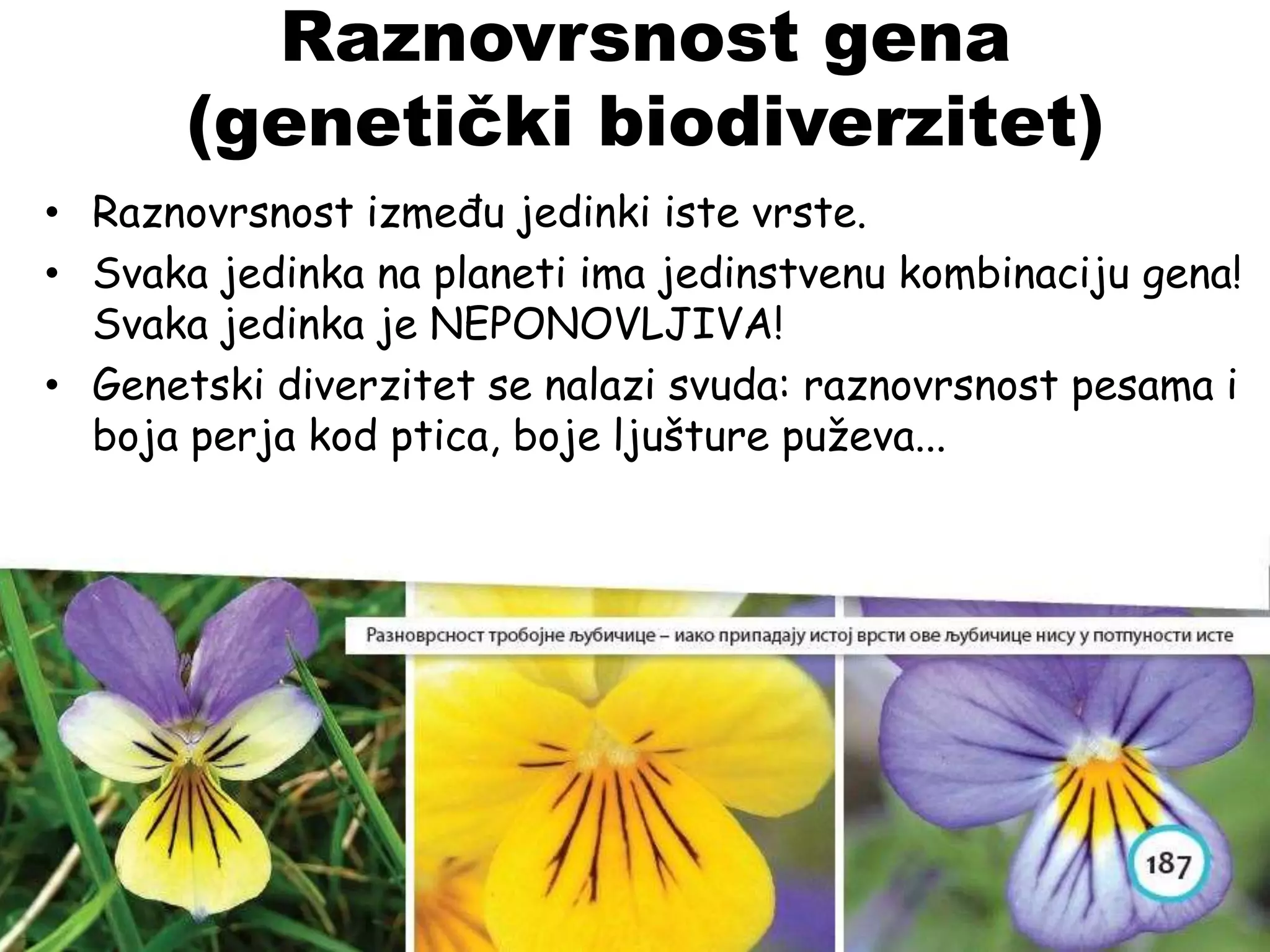 Biodiverzitet | PPTX