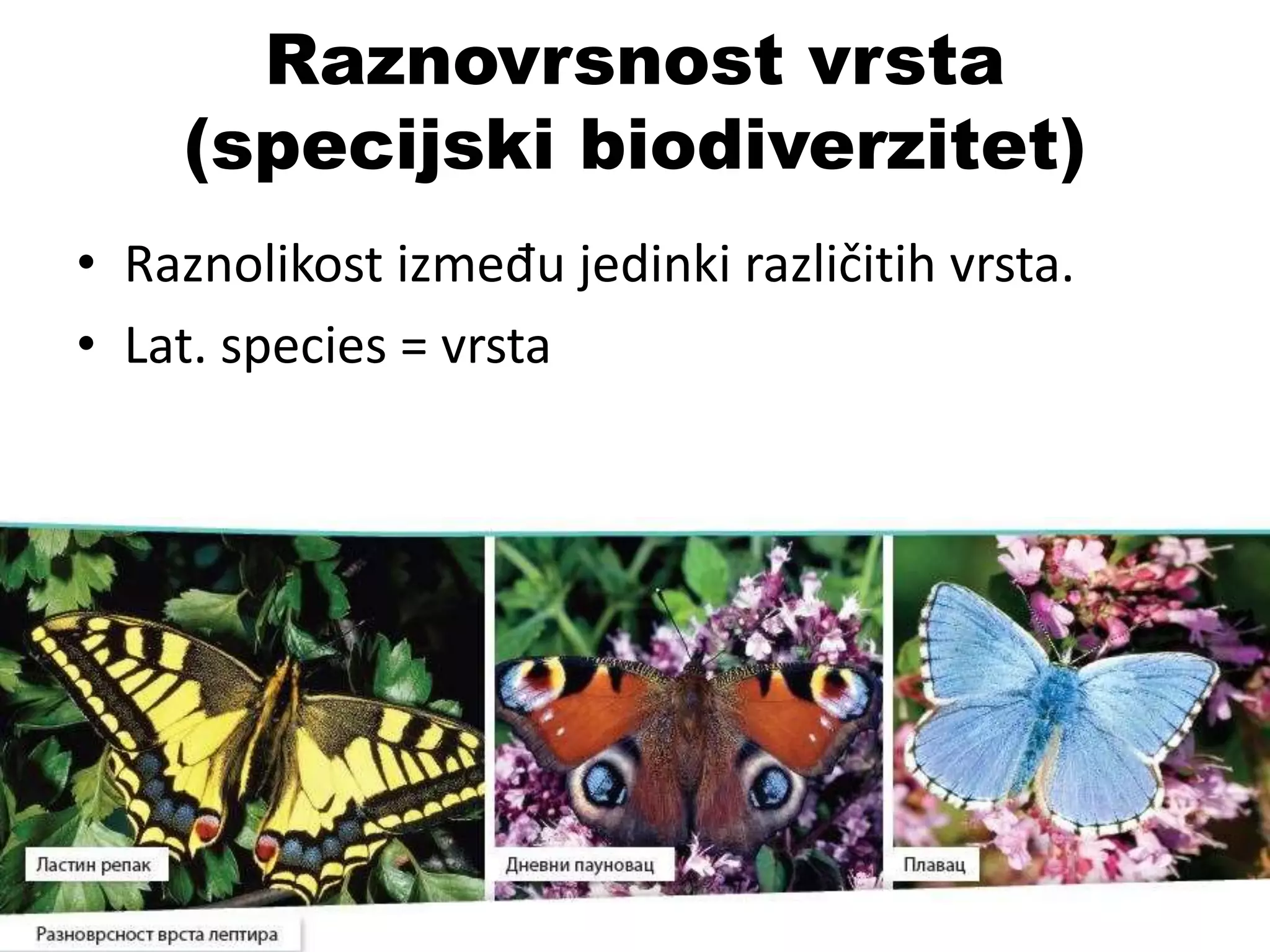 Biodiverzitet | PPTX