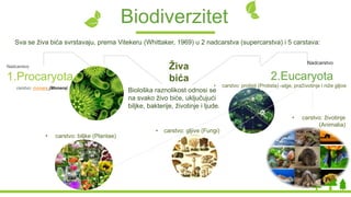 Biodiverzitet | PPTX