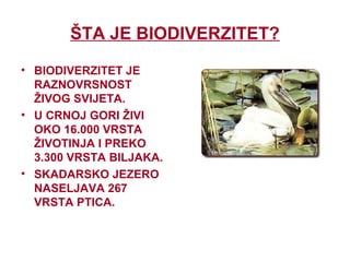 Biodiverzitet i njegova zastita | PPT