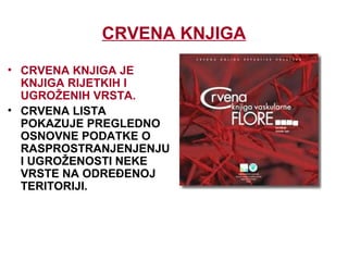 Biodiverzitet i njegova zastita | PPT