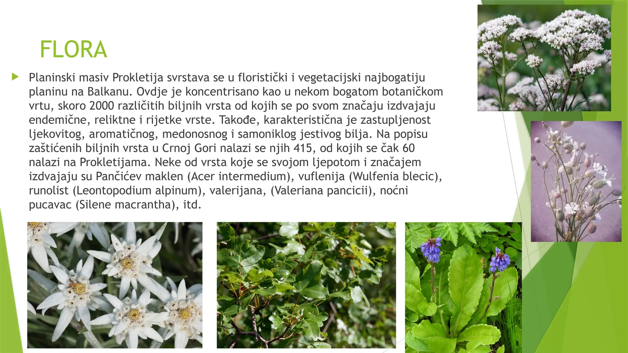 Biodiverzitet Prokletija.pptxsssssssssssssssssss | PPTX