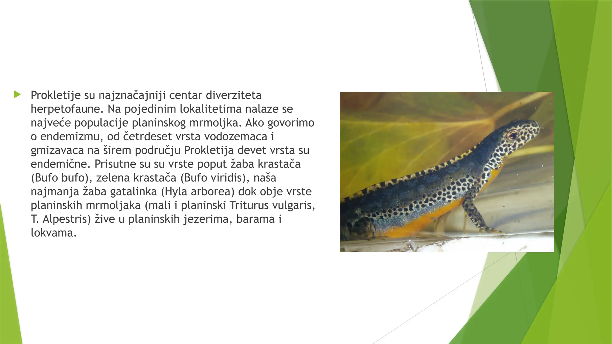 Biodiverzitet Prokletija.pptxsssssssssssssssssss | PPTX