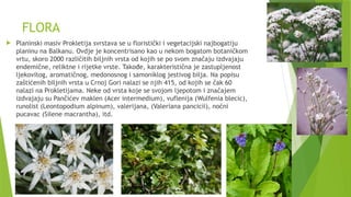 Biodiverzitet Prokletija.pptxsssssssssssssssssss | PPTX