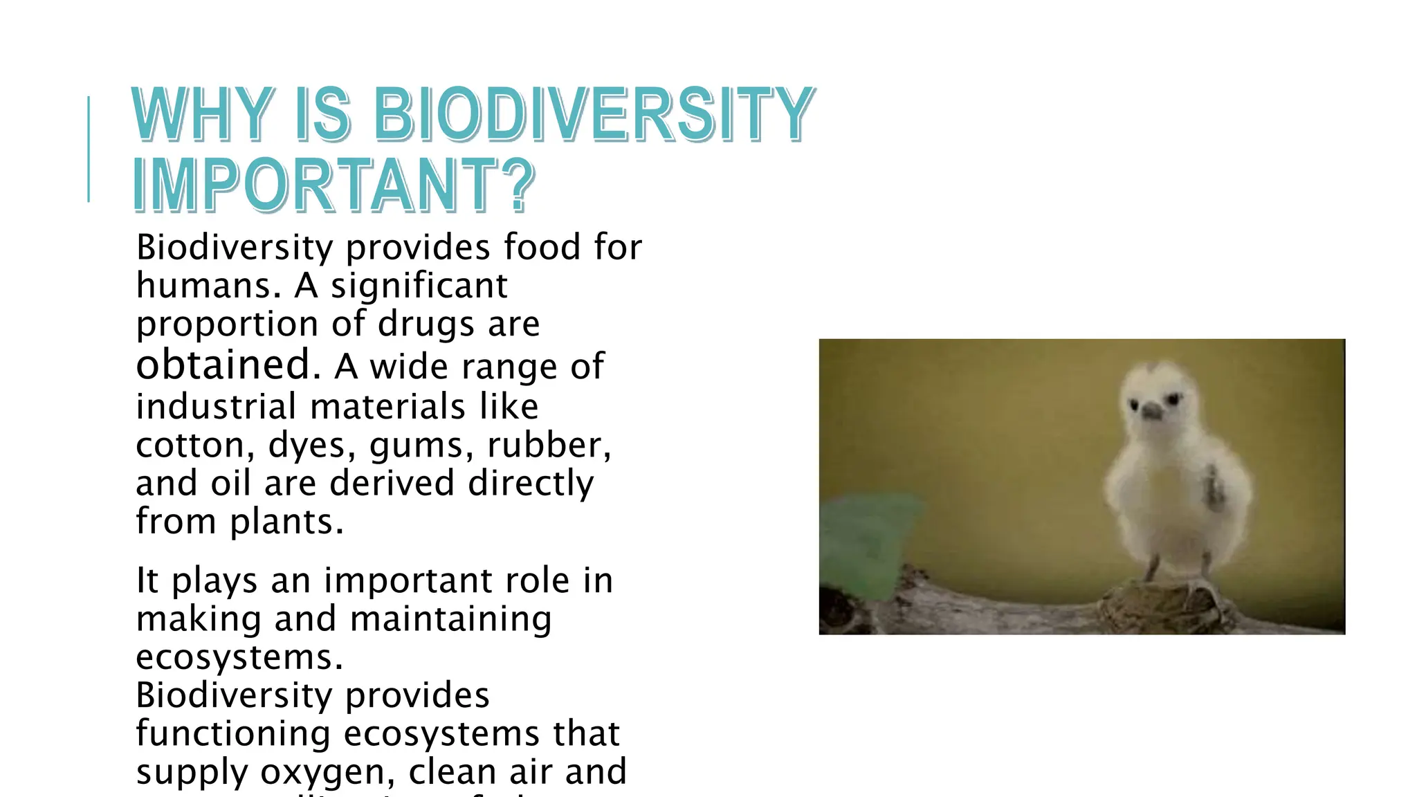 Importance of Biodiversity and classification | PPTX