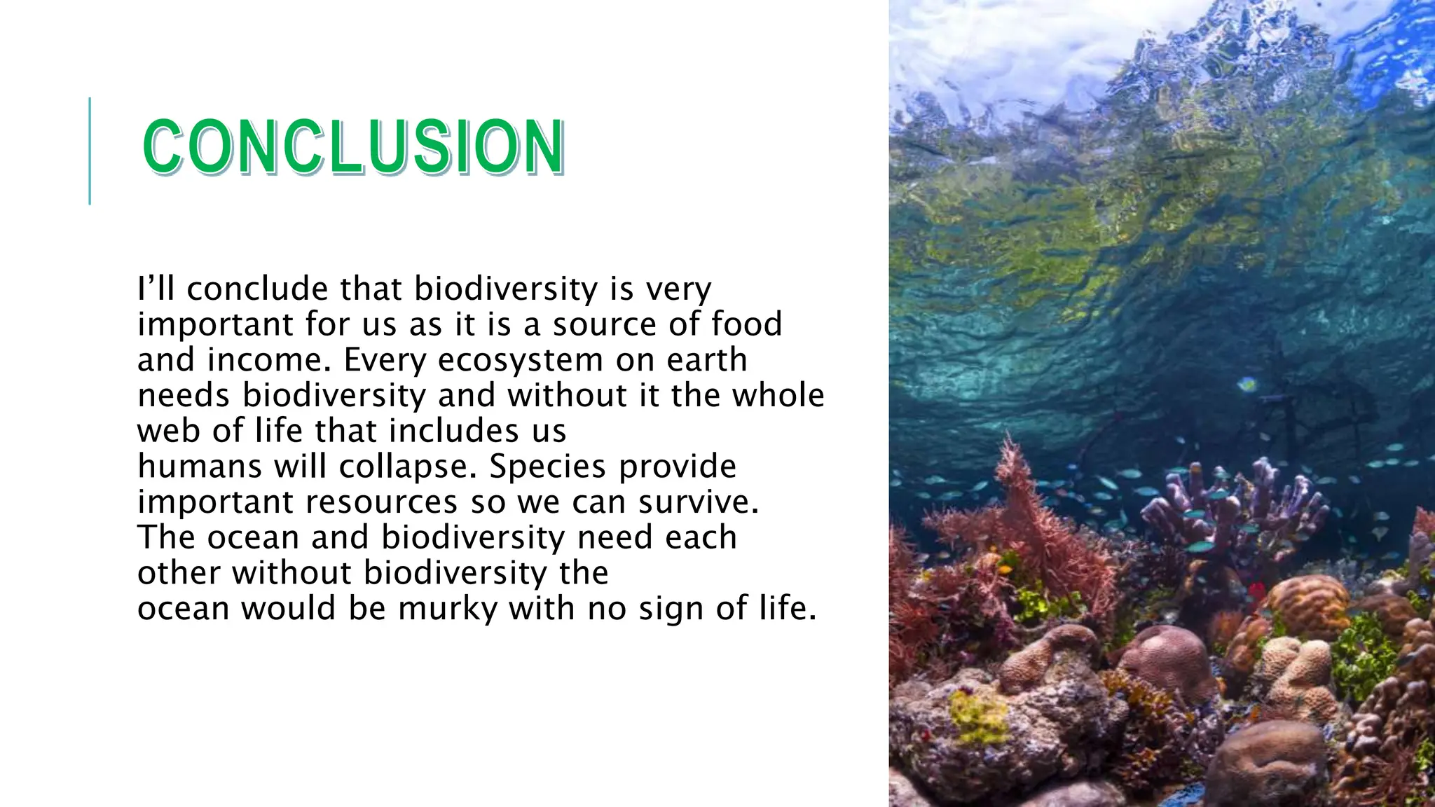 Importance of Biodiversity and classification | PPTX