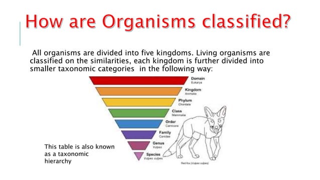 Importance of Biodiversity and classification | PPTX