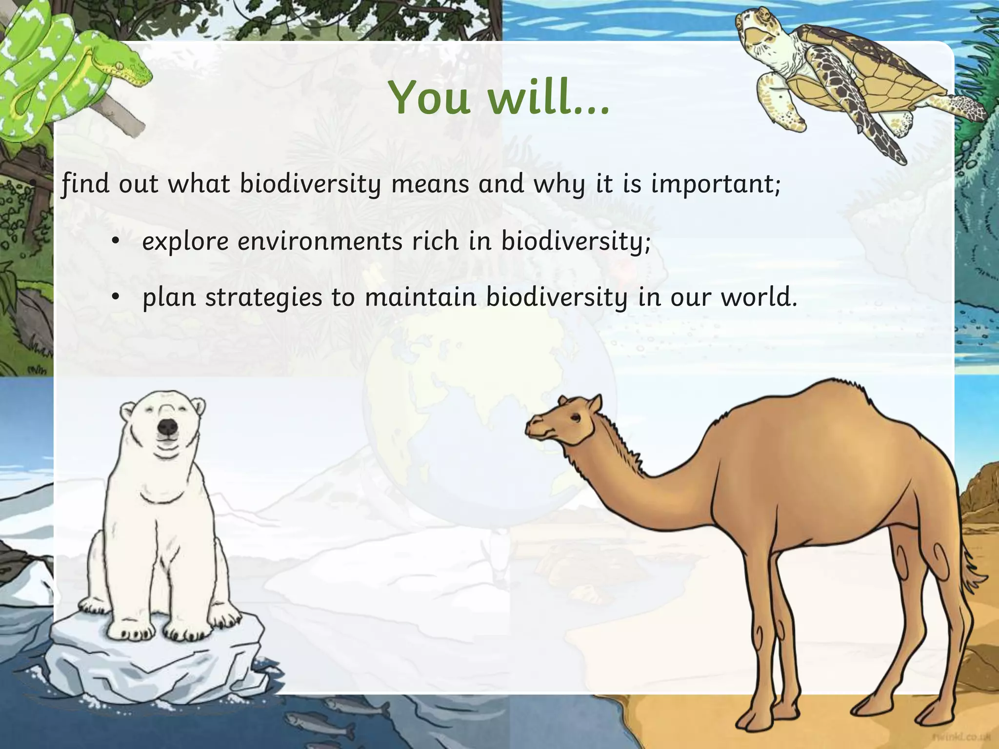 biodivesity ppt for environment science.pptx
