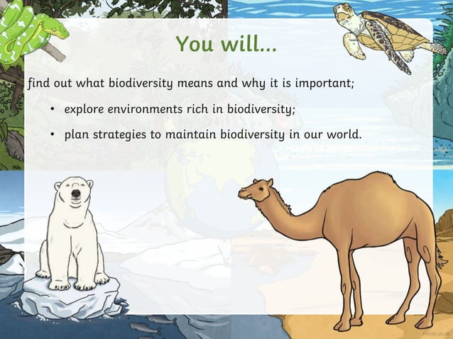 biodivesity ppt for environment science.pptx | Geography | Science